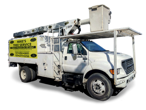 Mike’s Tree Service
